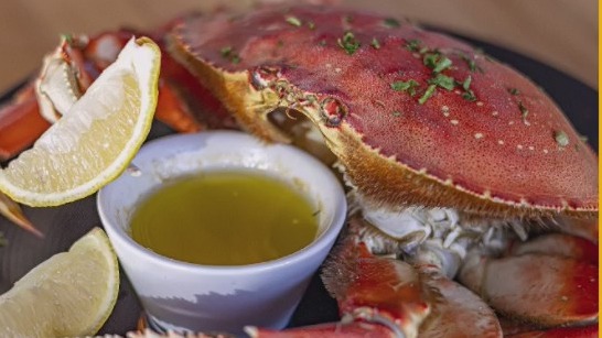 Can’t miss events this weekend from Jeremiah Stroup! – KOIN.com