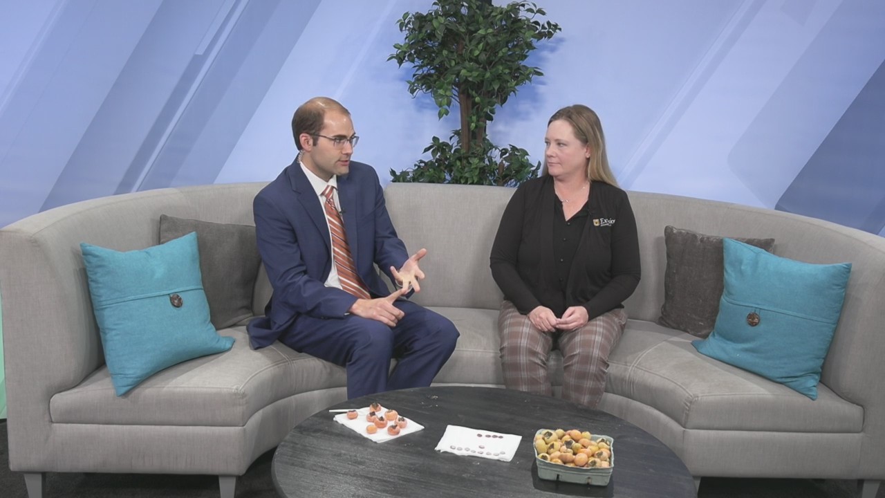 Persimmon seed winter predictions are in! – KOLR – OzarksFirst.com