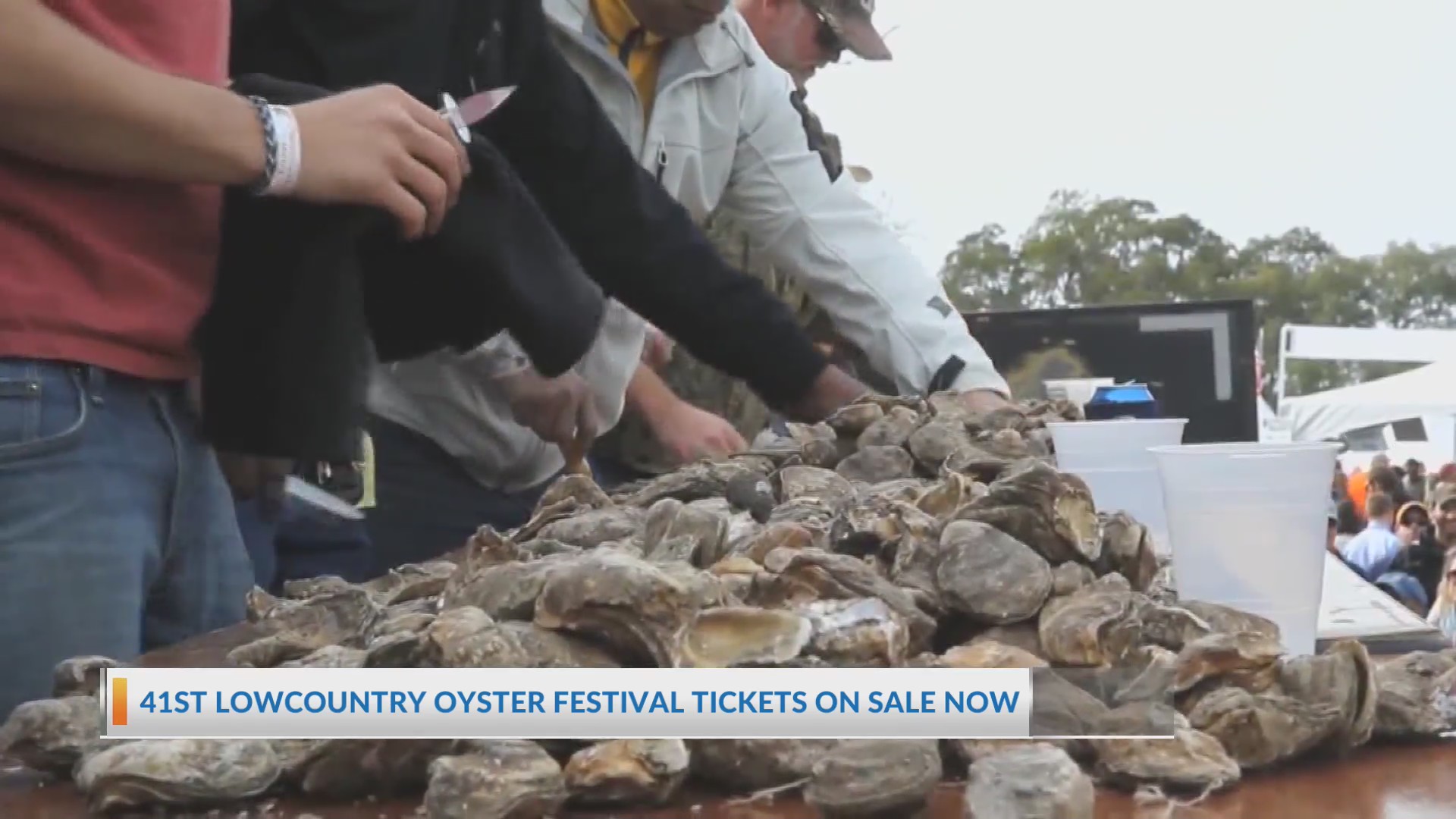 41st Lowcountry Oyster Festival tickets on sale now – WCBD News 2