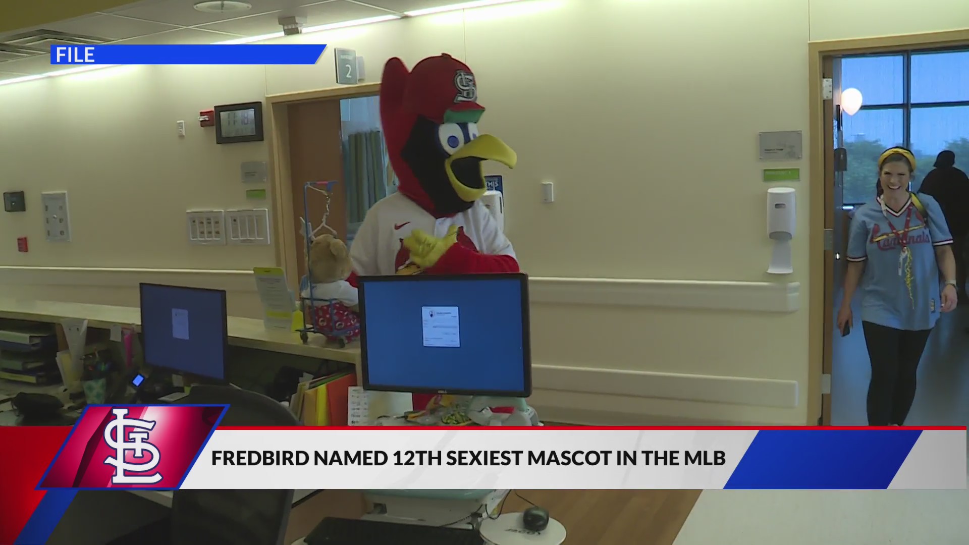Cardinals’ Fredbird voted among sexiest mascots: Poll – FOX 2