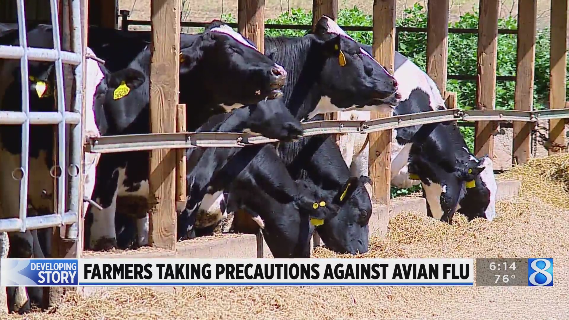 Farmers take precautions to protect livestock from avian flu – WOODTV.com