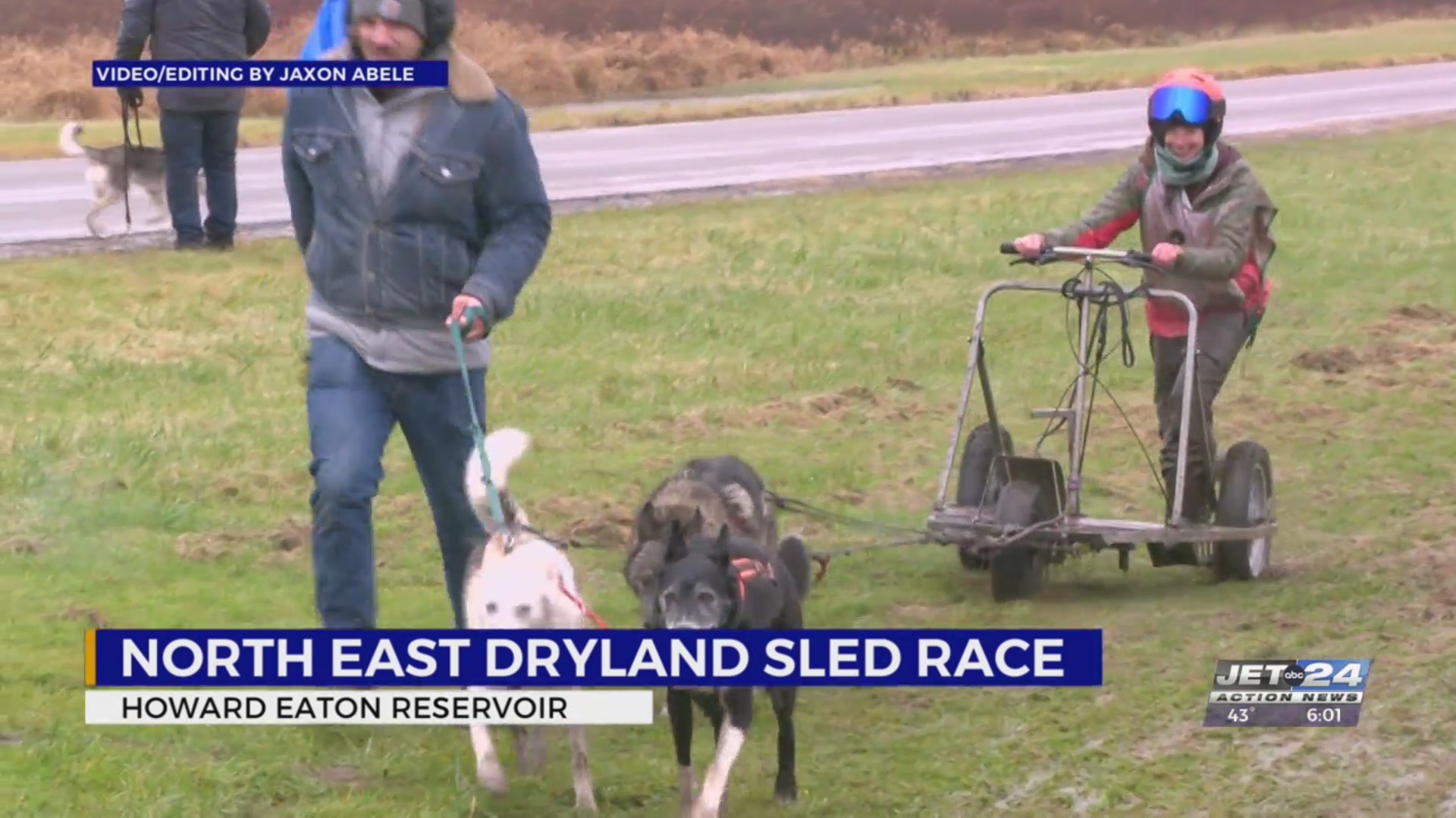 Mush! Sled racers take on muddy terrain at annual North East Dryland ...