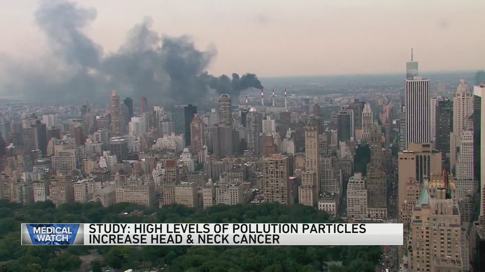 Study: High levels of pollution particles increase head & neck cancer ...