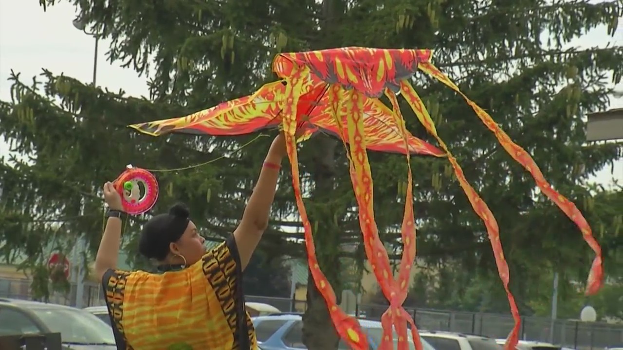 Mental Health PEER Connection hosts annual Kite Festival to raise ...