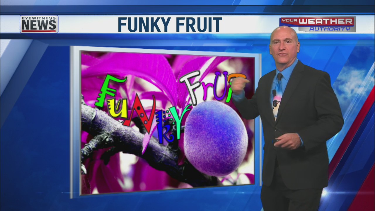 FuNkY FrUiT Pac Man Tater – Eyewitness News (WEHT/WTVW)