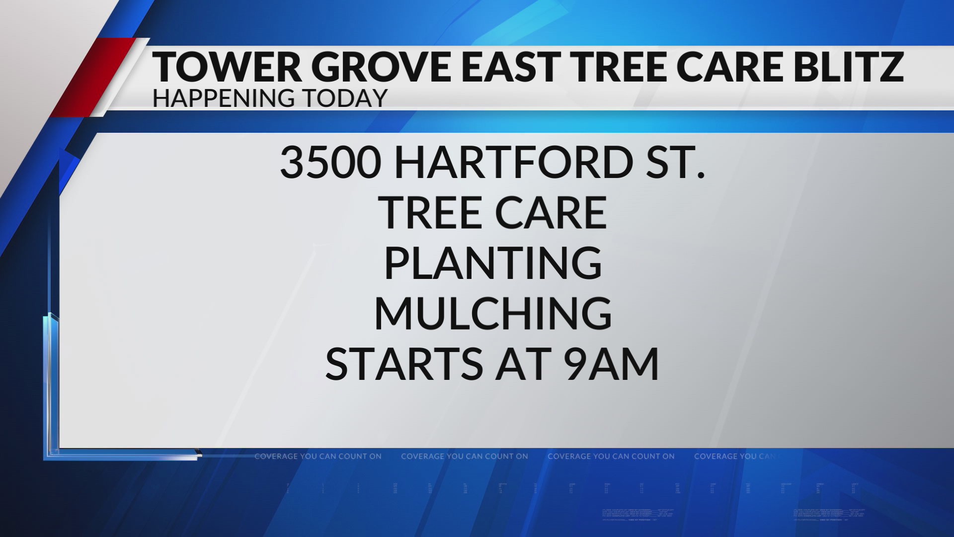 Tower Grove East Tree Blitz provides hands-on tree care training – FOX 2