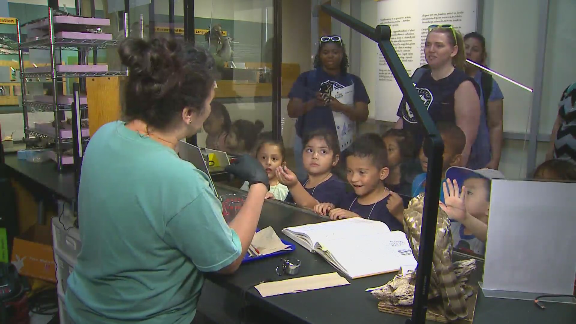 Meet Chicago’s ‘Bug Girl’ – WGN-TV