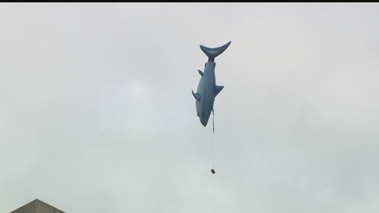 Demolition company explains shark hanging from crane – WKBN.com
