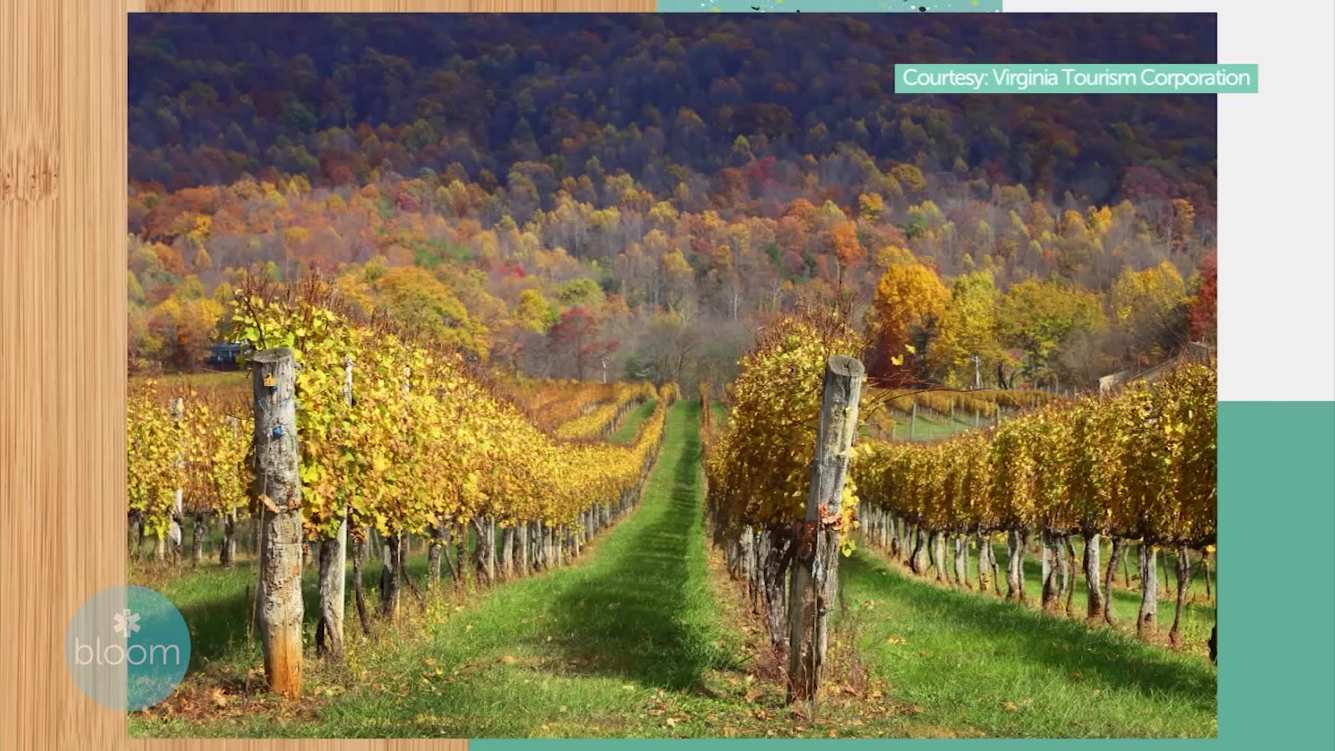 Exploring the best fall outdoor adventures – WFLA