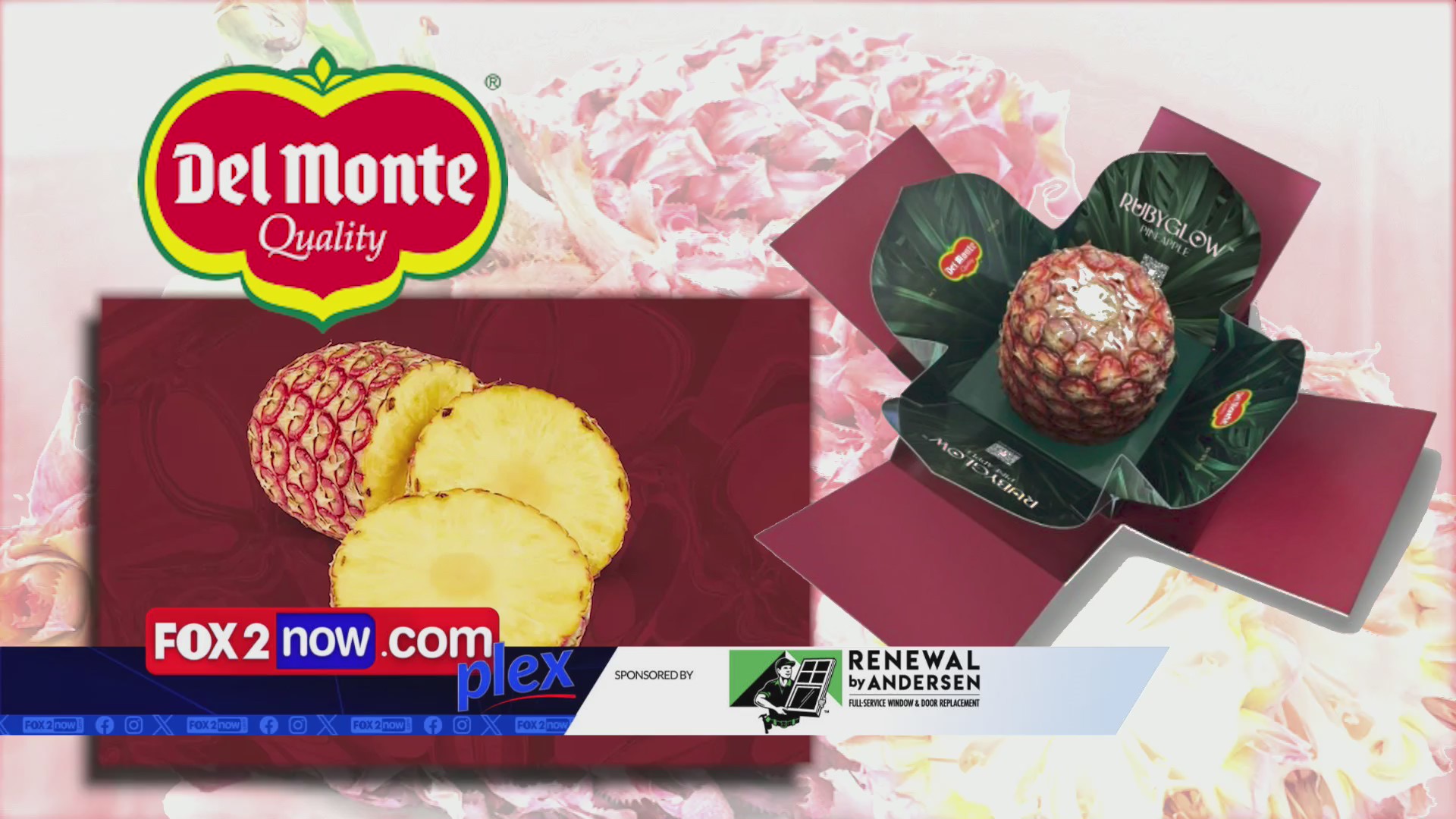 ‘High-end,’ ultra rare pineapple coming to US – FOX 2