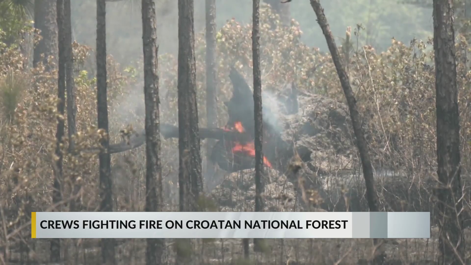 Wildfire in Croatan National Forest spreads to 850 acres – WNCT