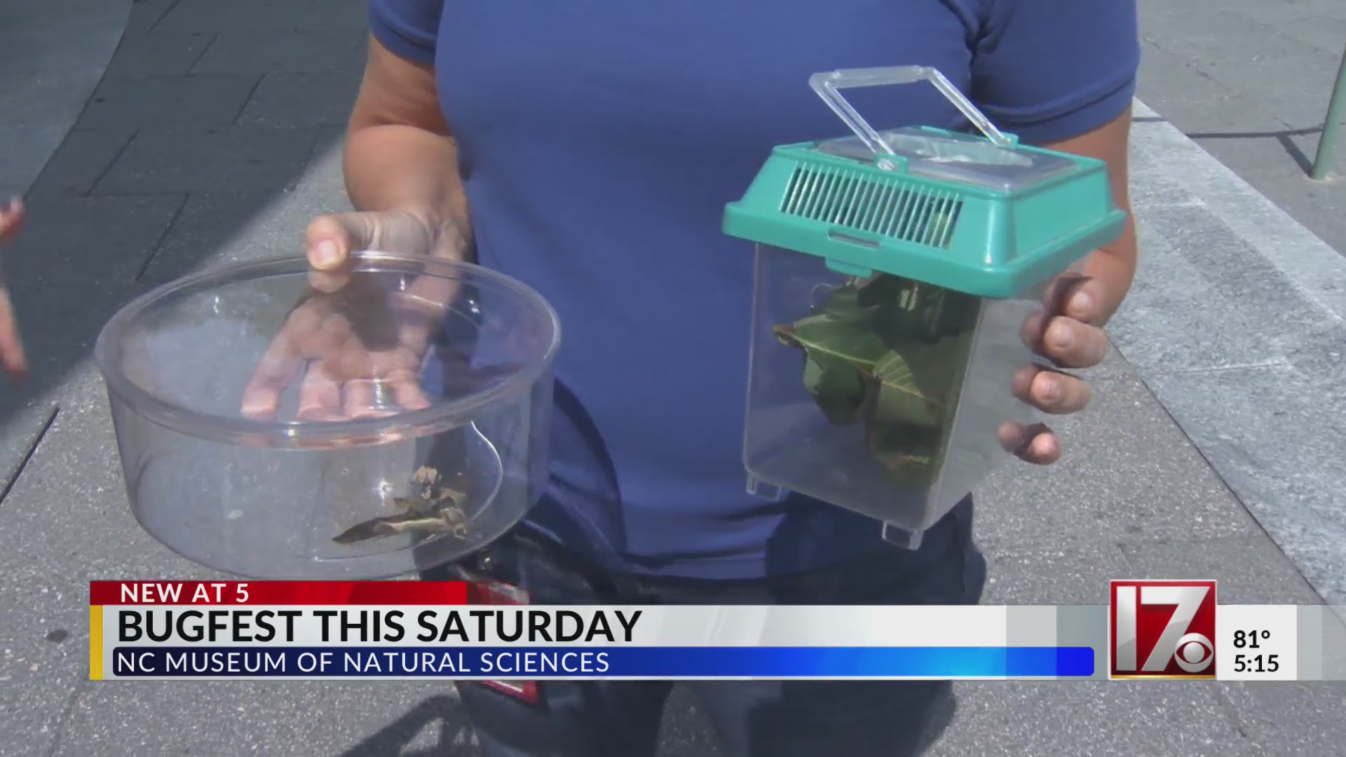 Bugfest this Saturday at the NC Museum of Natural Sciences – CBS17.com