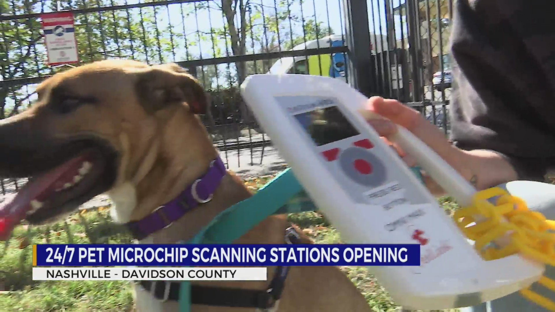 24/7 pet microchip scanning stations opens in Nashville – WKRN News 2