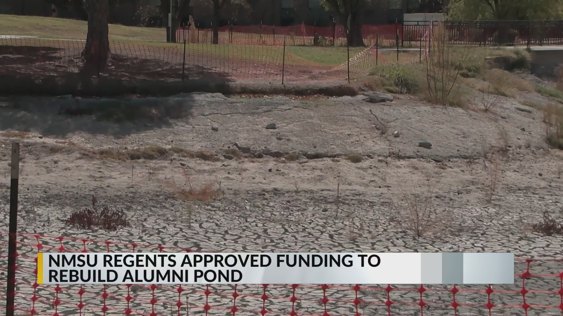 ‘So many Aggies have special memories’: NMSU works to bring back Alumni ...