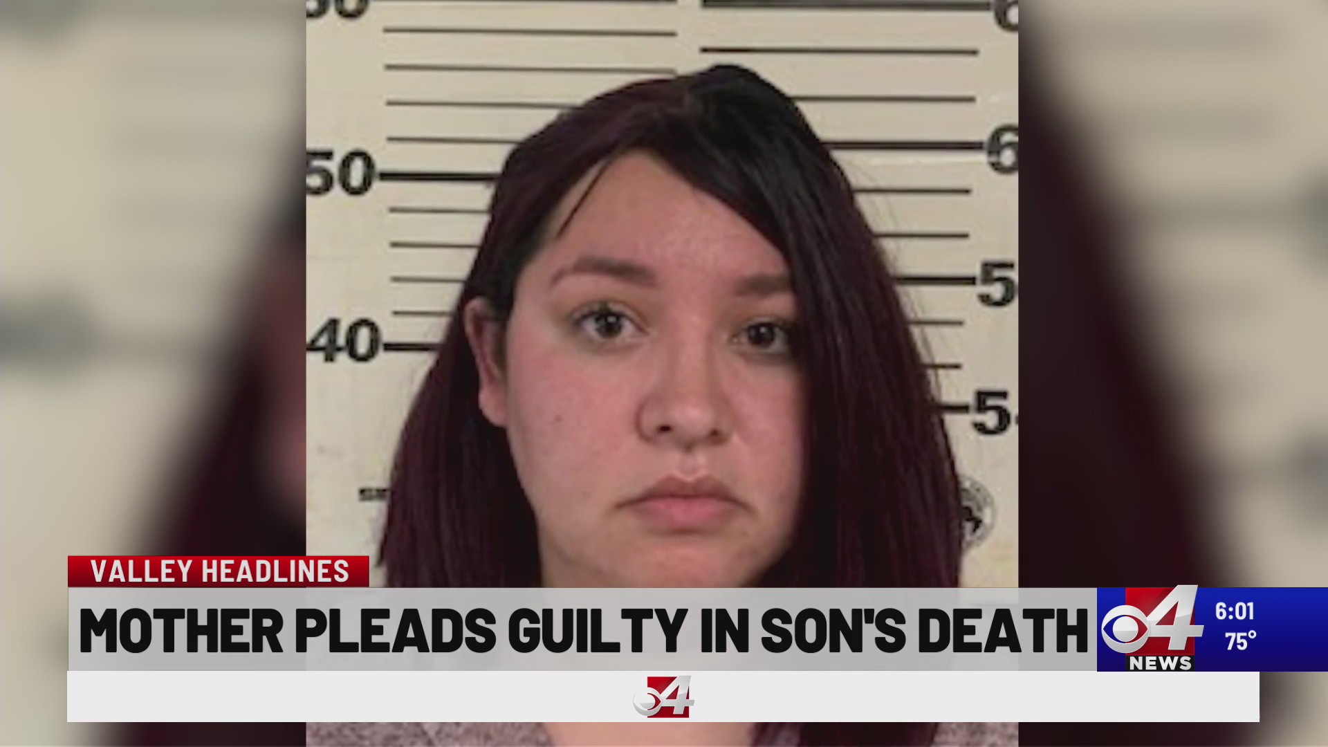Mother pleads guilty in son’s death – KVEO-TV