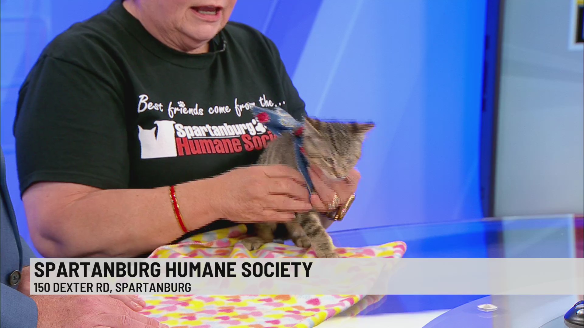 Pet of the Week: Finley – WSPA 7NEWS