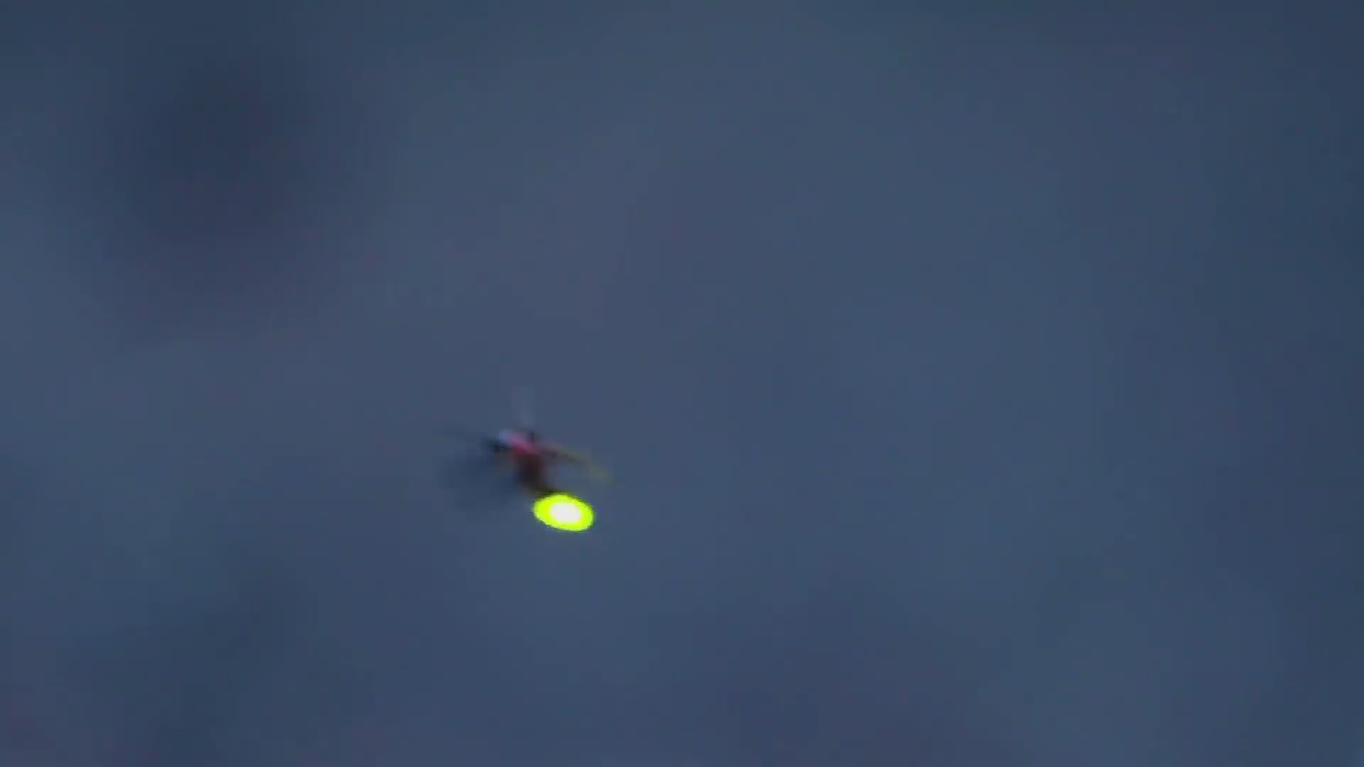Could lightning bug appearances become a thing of the past? – KGET 17 News