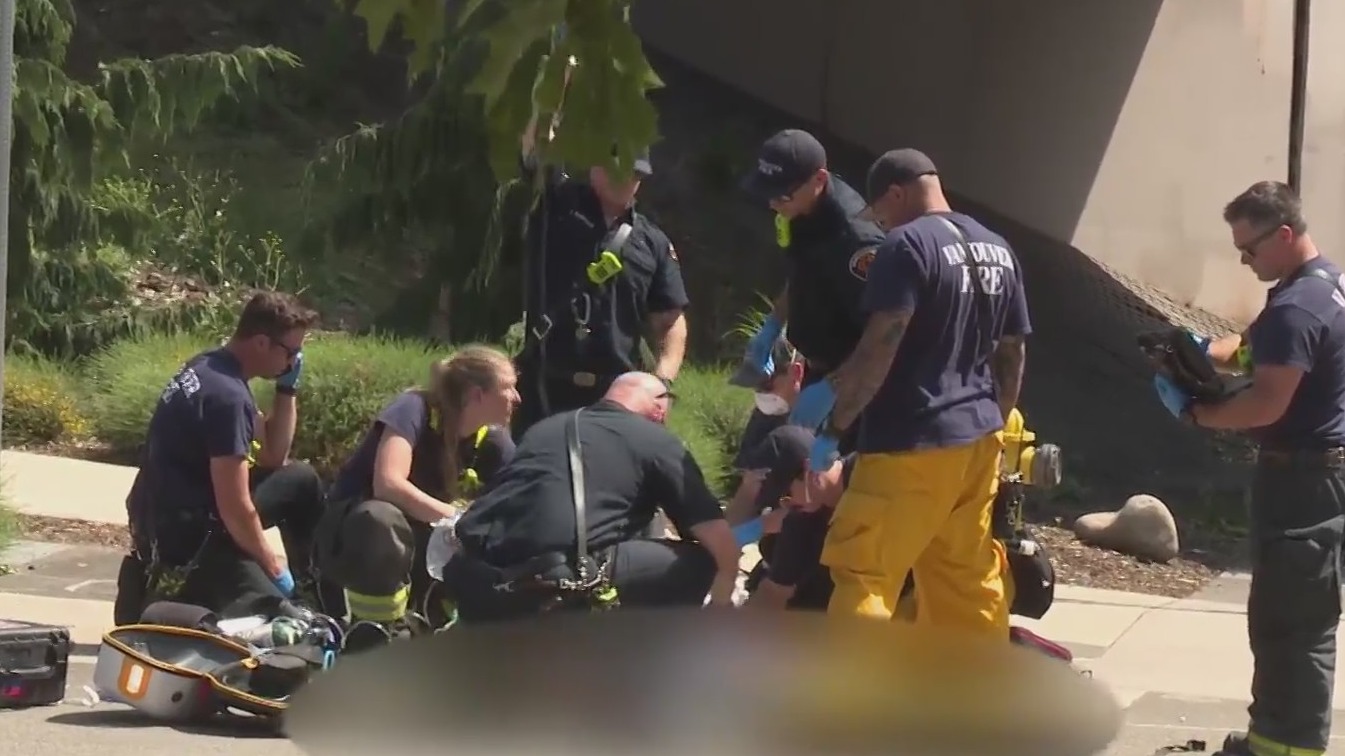 Man with ‘aggressive’ German shepherd killed by Vancouver police – WWLP