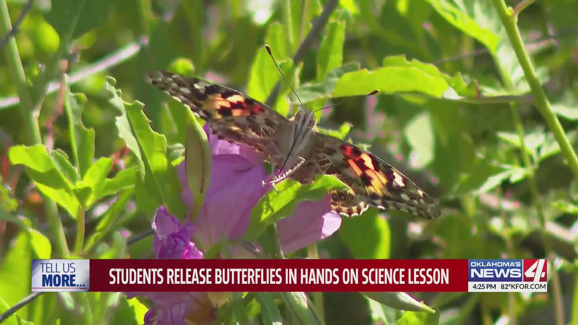 Students release butterflies in hands-on science lesson – KFOR.com ...