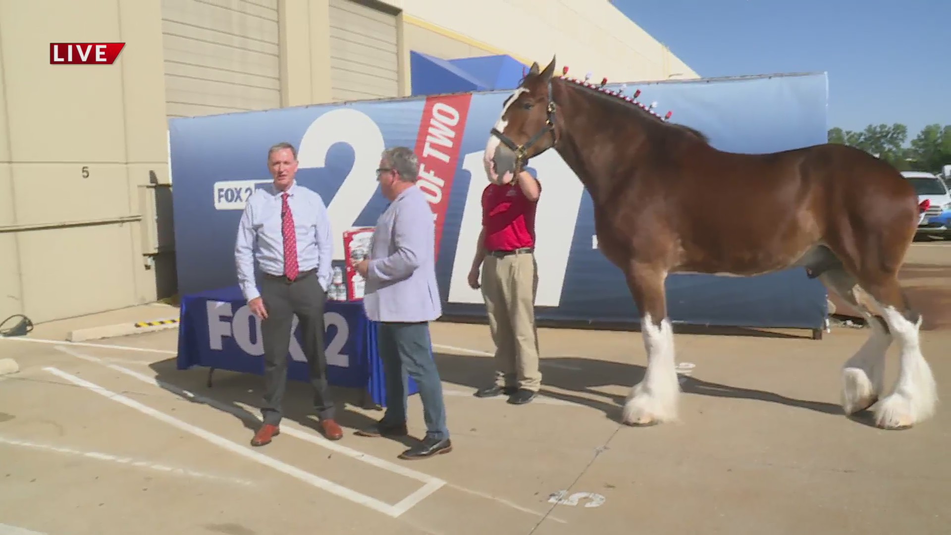 Rocky Sickmann joins the show – FOX 2