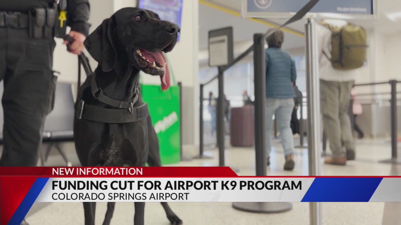 Colorado Springs Airport K9 program cut – FOX21 News Colorado