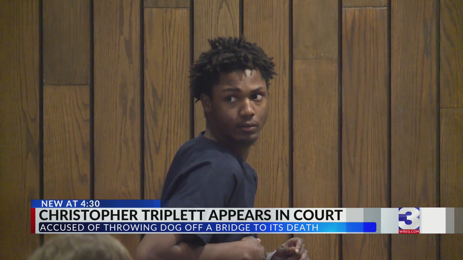 $100K bond for man accused of throwing dog over bridge – WREG.com