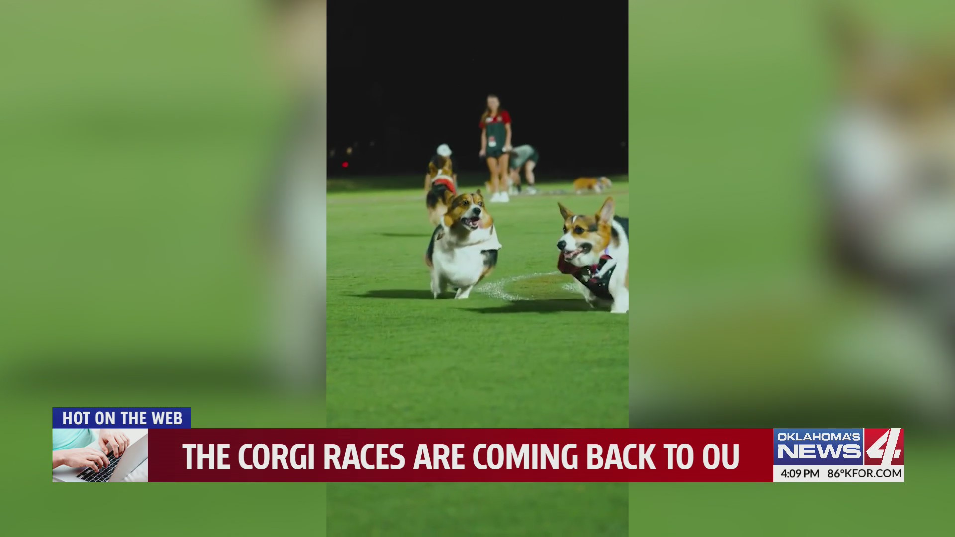 The Corgi races are coming back to OU – KFOR.com Oklahoma City