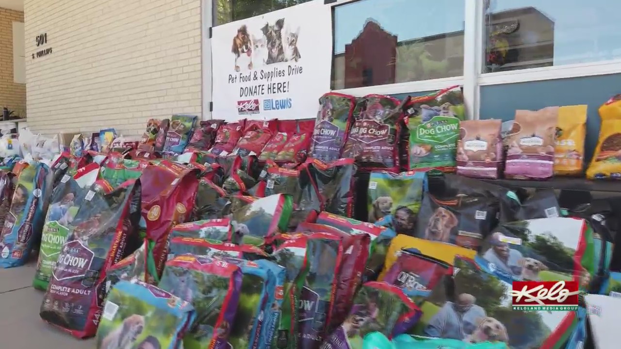 KELOLAND Pet Food Drive to help rescue pets in SF – KELOLAND.com