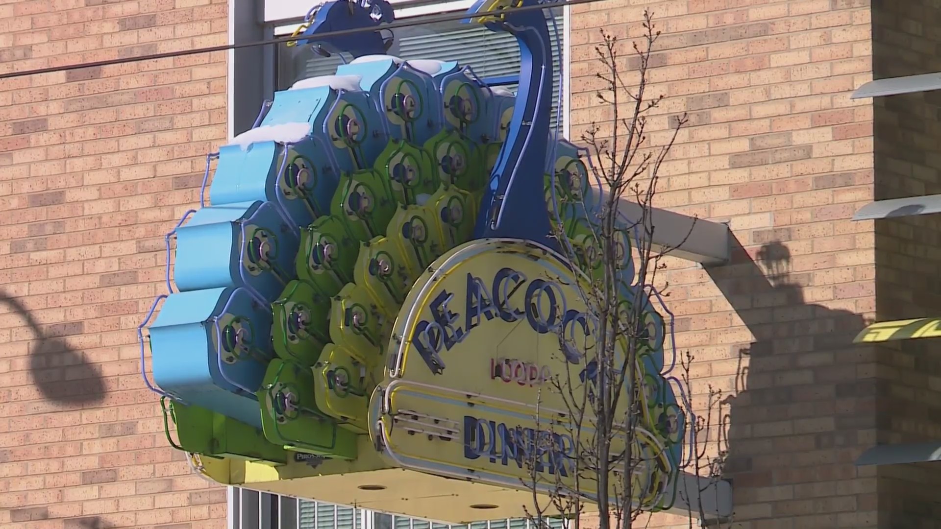 Peacock Diner in Delmar Loop closes after a decade of service – FOX 2