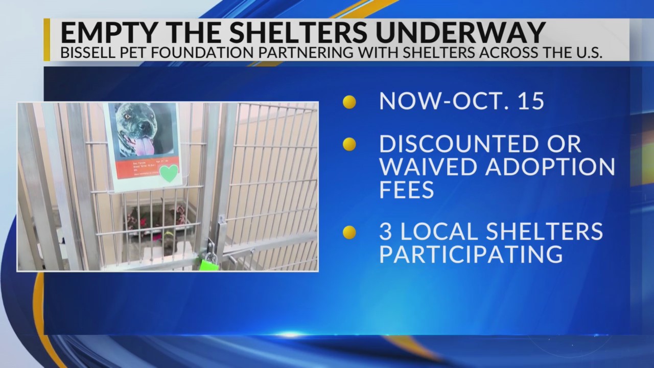 Empty the Shelters event across Acadiana – KLFY.com