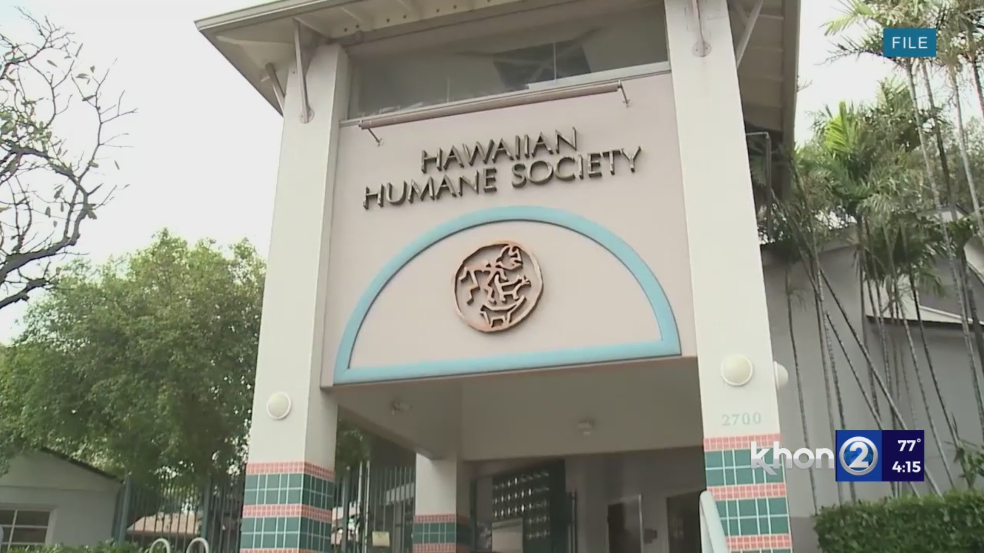 Hawaiian Humane Society hosts special adoption weekend to help fight ...