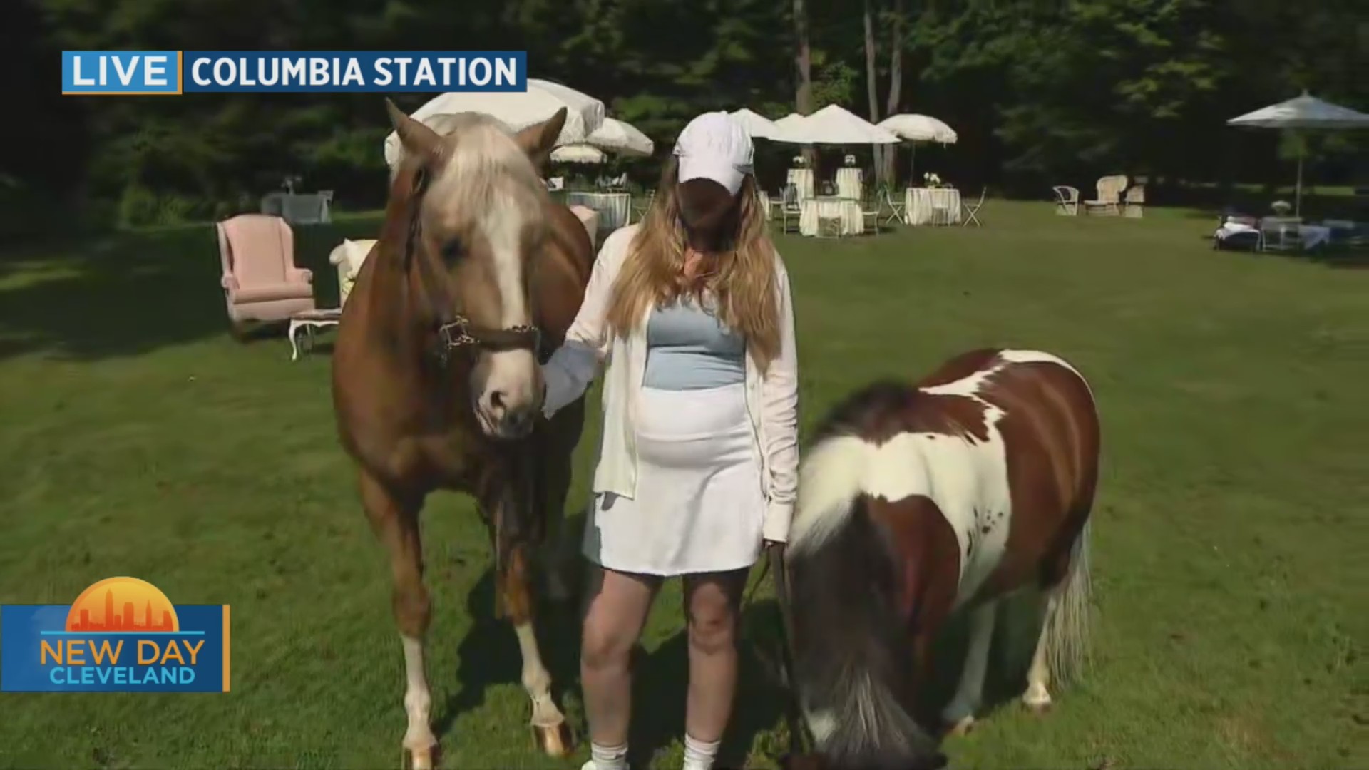 New Day Cleveland- Baker Creek Farm – Fox 8 Cleveland WJW