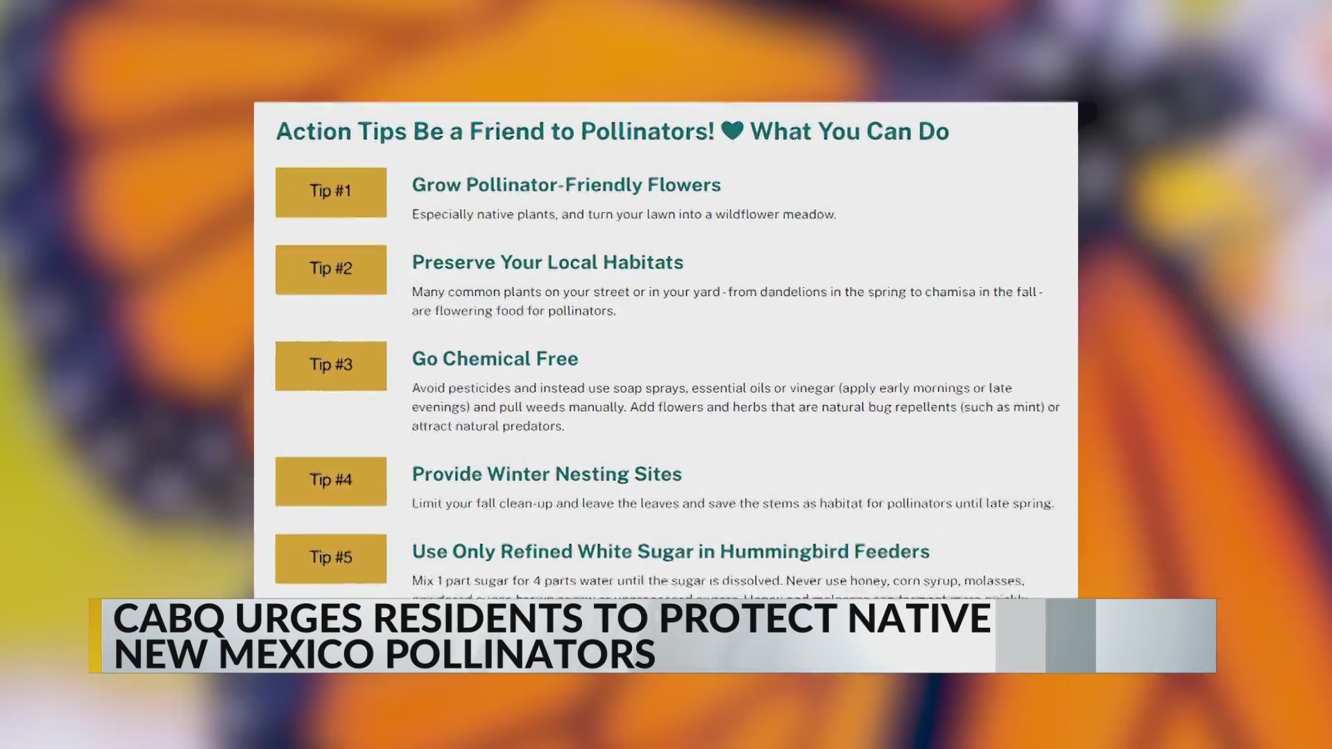 City of Albuquerque asks for residents to protect New Mexico ...