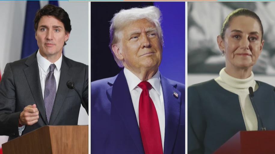 Americans should buy alternatives to goods under tariffs: Economist ...