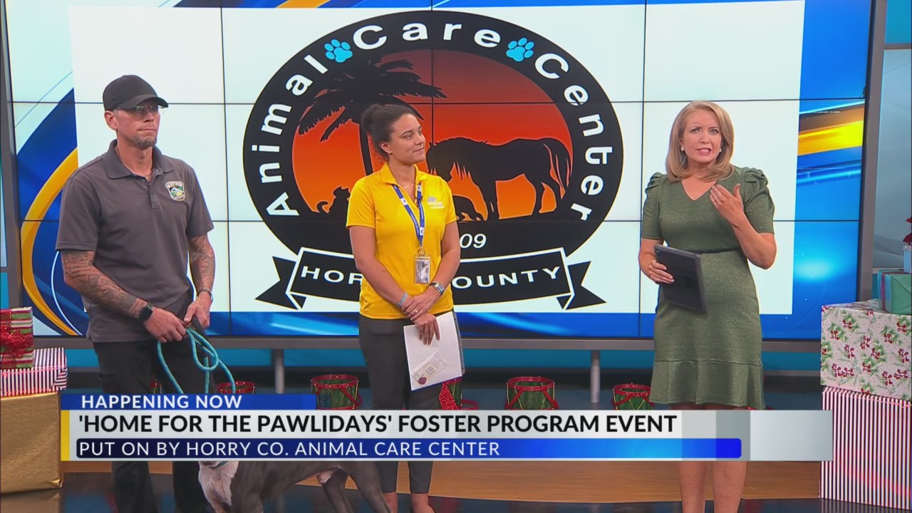 ‘Home for the Pawlidays’ with Horry County Animal Care Center returns ...