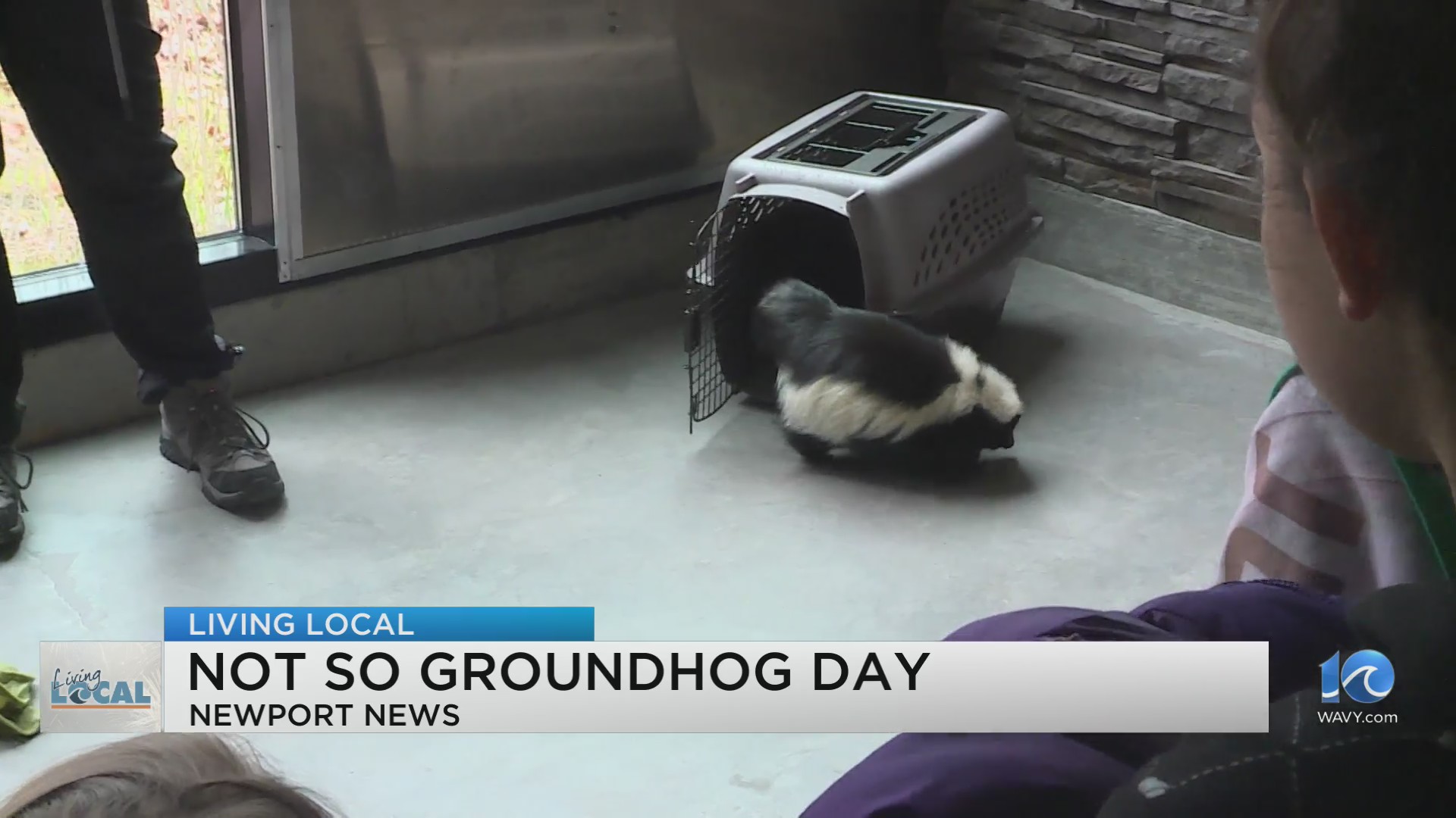 Lux the Skunk predicts early spring at Virginia Living Museum – WAVY.com