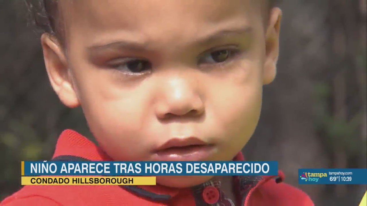 Autoridades hallan a niño de Tampa reportado como desaparecido; su ...