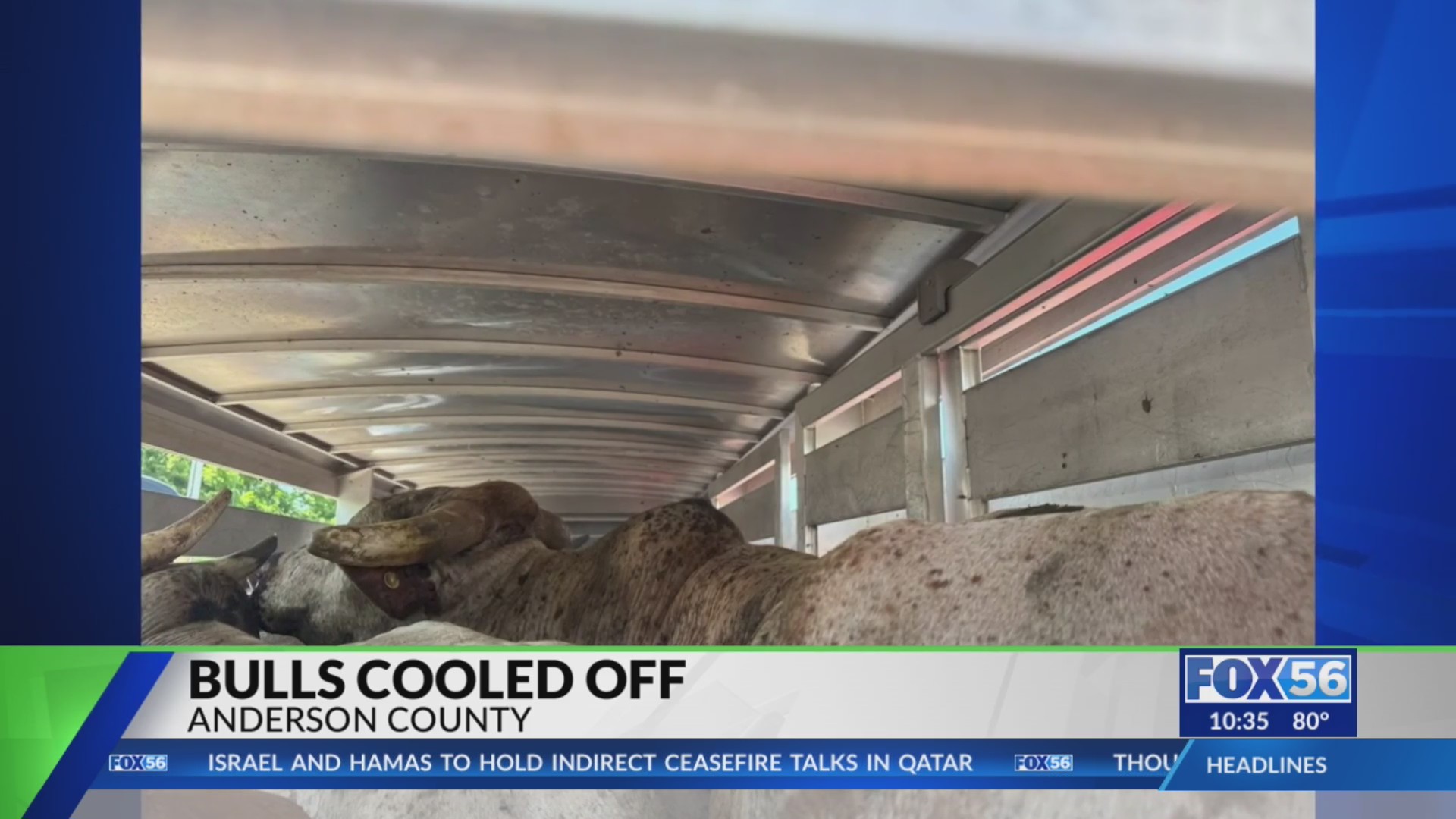 Anderson County fire crews help horned passengers cool off after ...