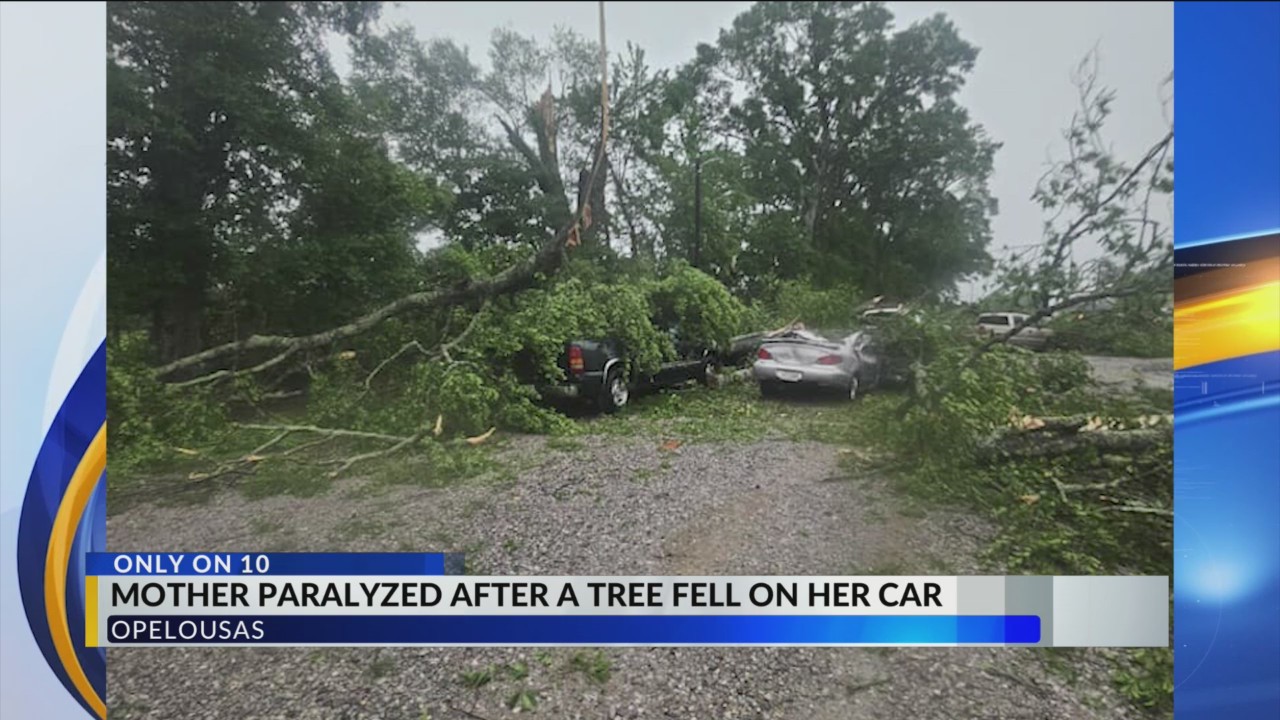 Mother paralyzed from tree fall on car needs community help – KLFY.com