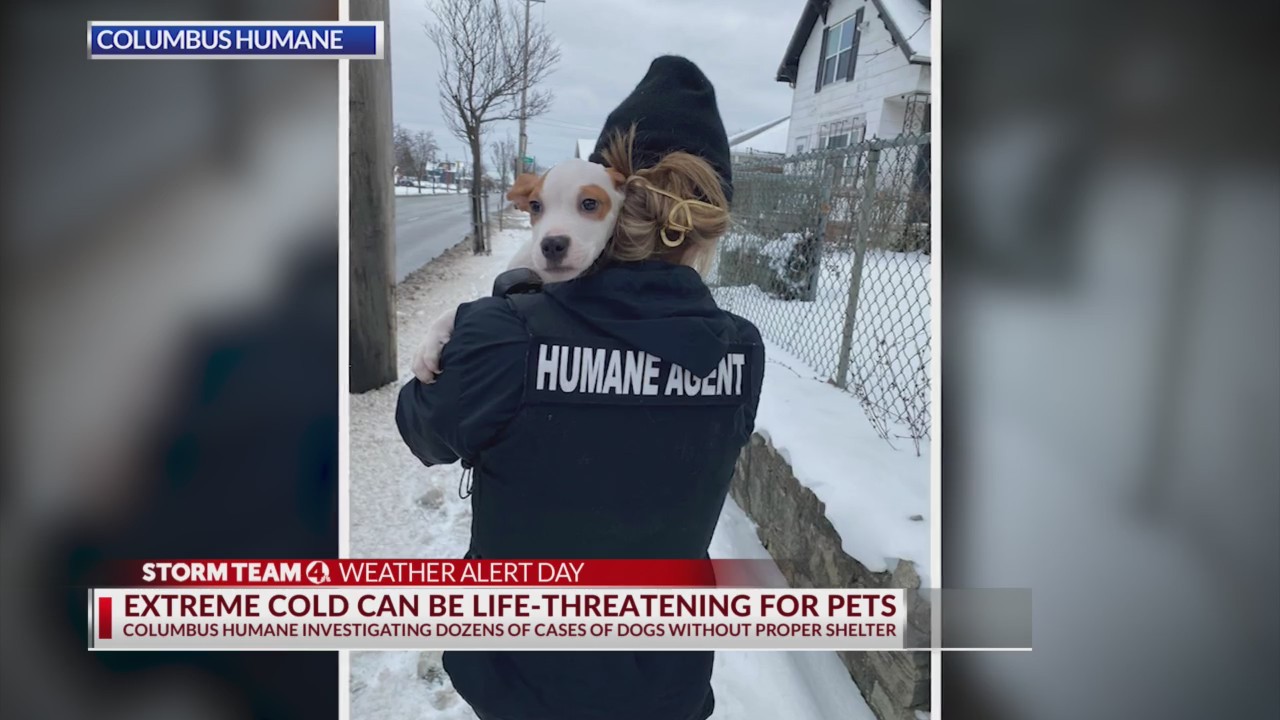 Columbus Humane investigates dogs being left in the extreme cold – NBC4 ...