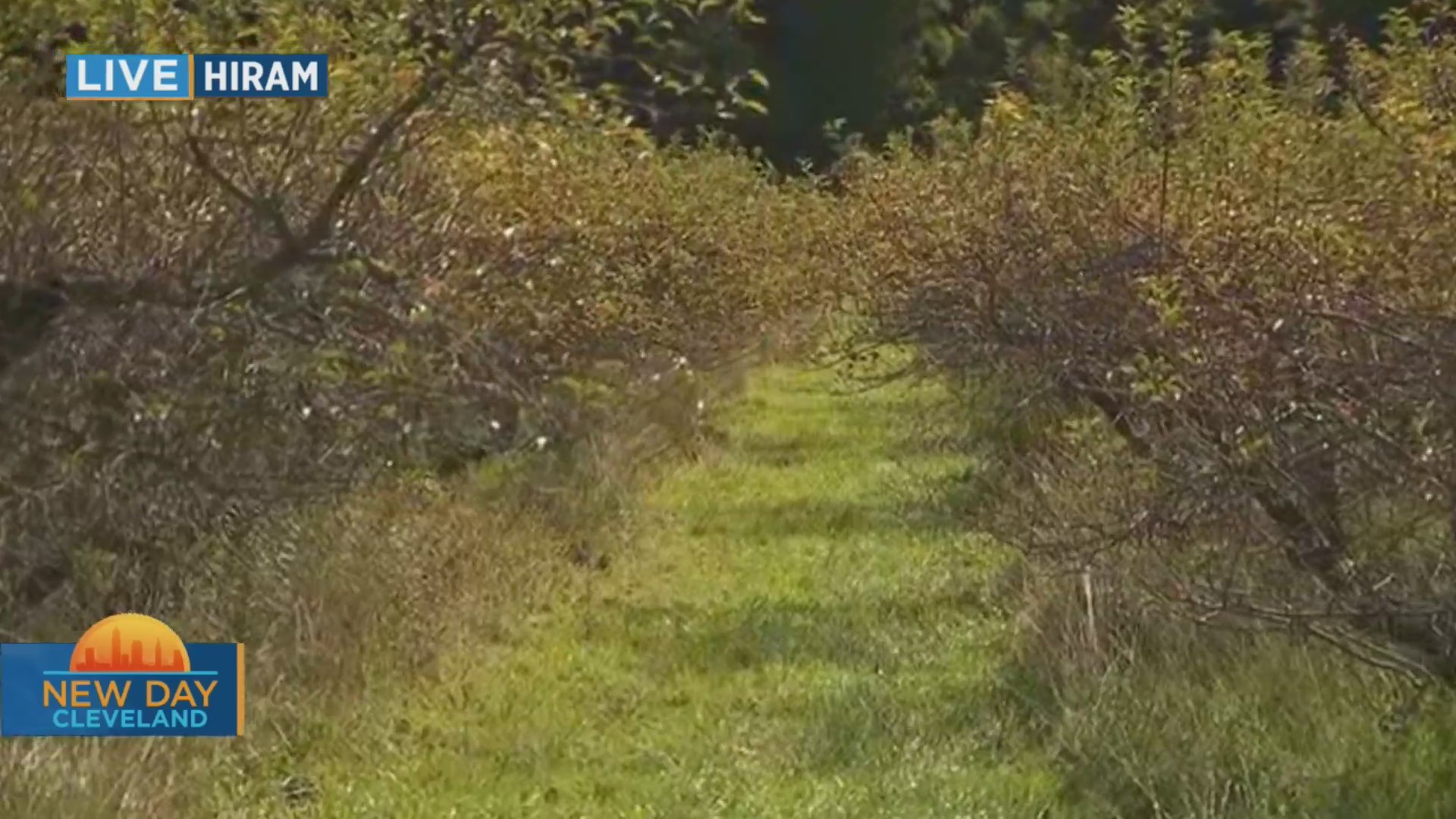 New Day Cleveland: Blue Jay Orchard – Fox 8 Cleveland WJW