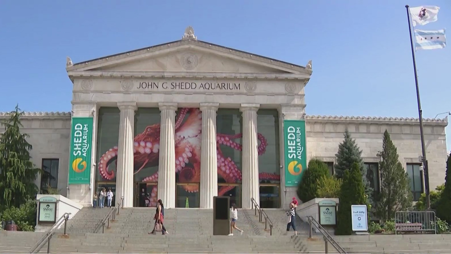 Shedd Aquarium workers forming union – WGN-TV Shedd Aquarium workers forming union – WGN-TV