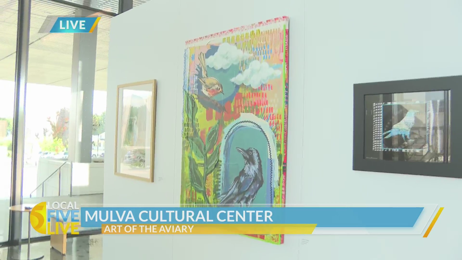 Mulva Art of the Aviary Exhibit 7-28-25 – WFRV Local 5 – Green Bay ...