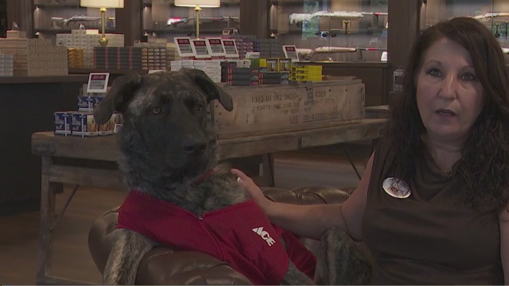 Dog rescued during Hurricane Helene has new purpose – FOX8 WGHP