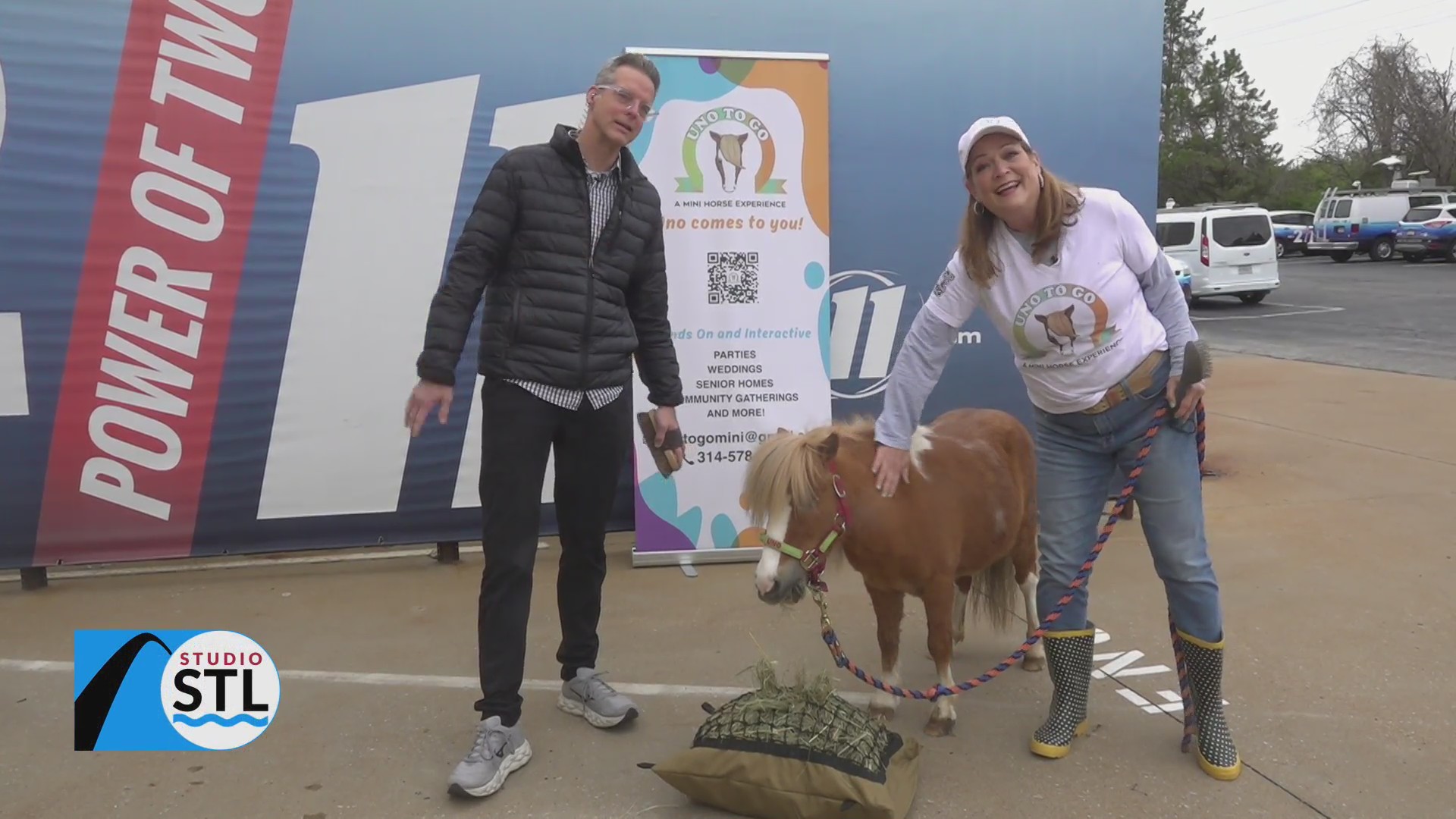 Randi Naughton stops by to share more on Uno to Go: A Mini Horse ...