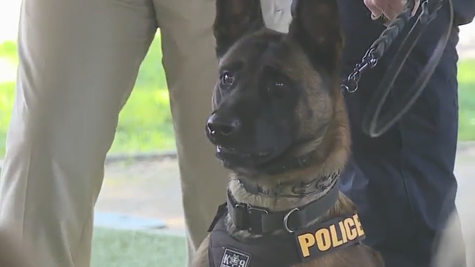CHP hosts graduation ceremony for new K9 officers – FOX40 News