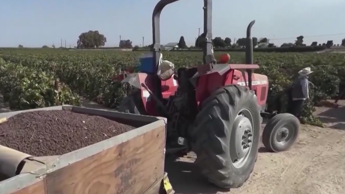‘Agroterrorism’ concerns around US soil | Morning in America – NewsNation