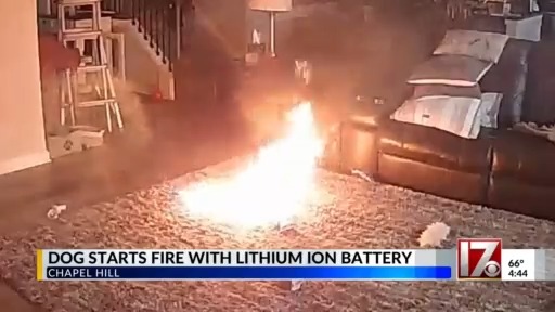 Dog chews through battery, starts fire inside Chapel Hill home – WFLA