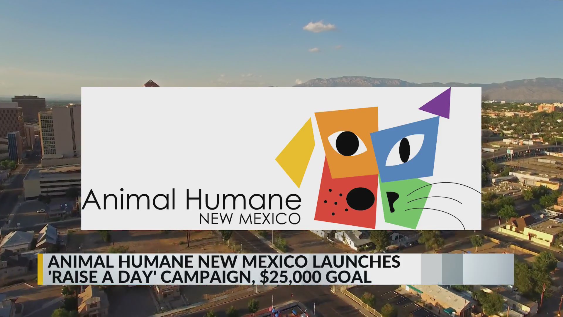 Animal Humane New Mexico launches ‘Raise a Day’ campaign – KRQE NEWS 13 ...