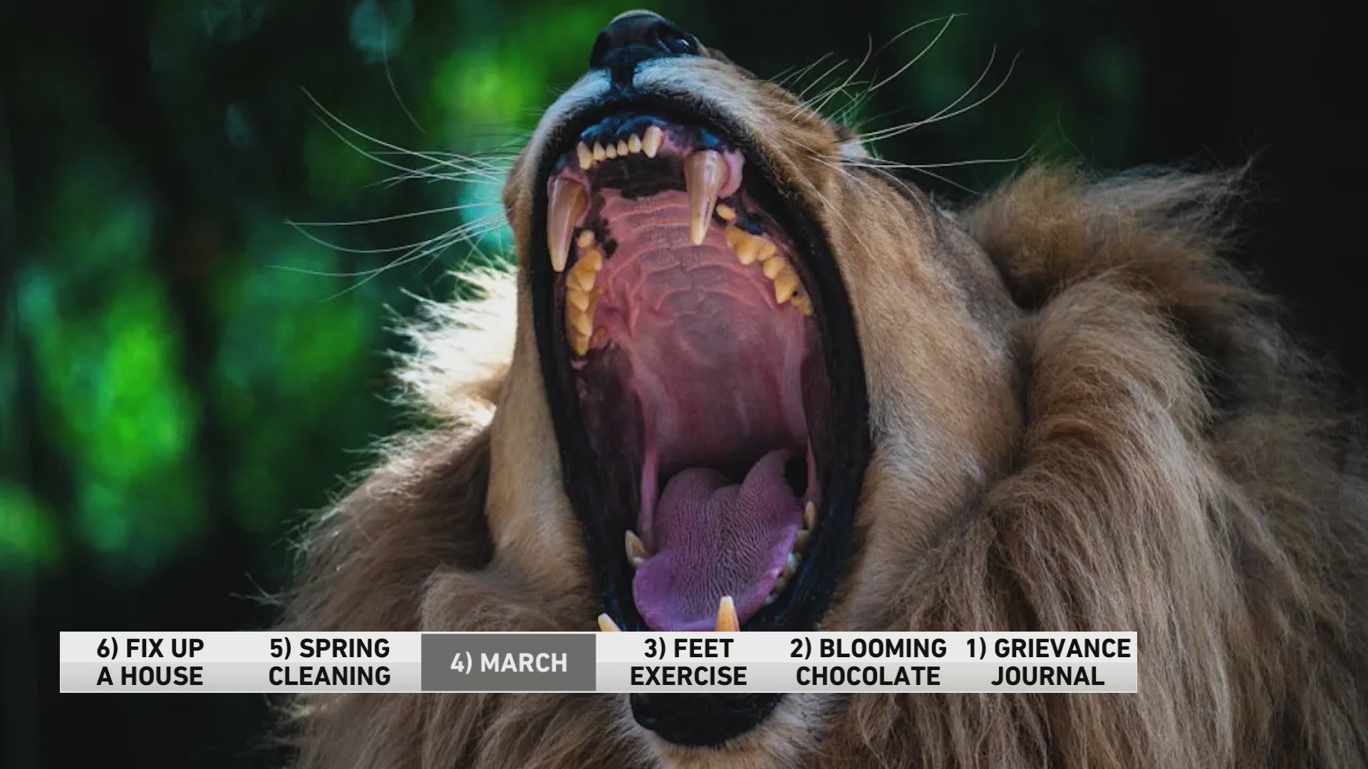 The origins of ‘In like a lion, out like a lamb’ – WGN-TV